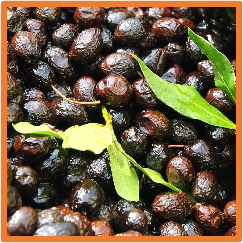 UMR STLO Unit - Recent results