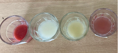 UMR STLO Unit - Innovative fermented whey-based drinks