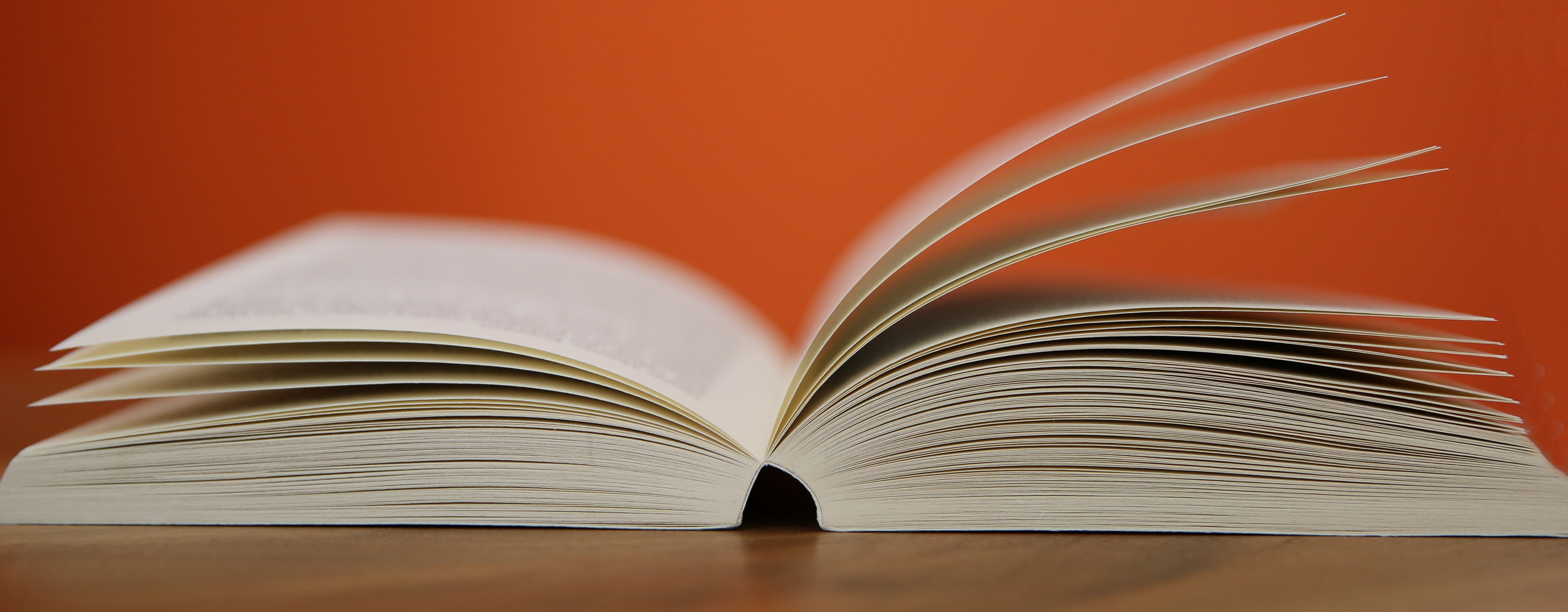 UMR STLO Unit - Scientific publications